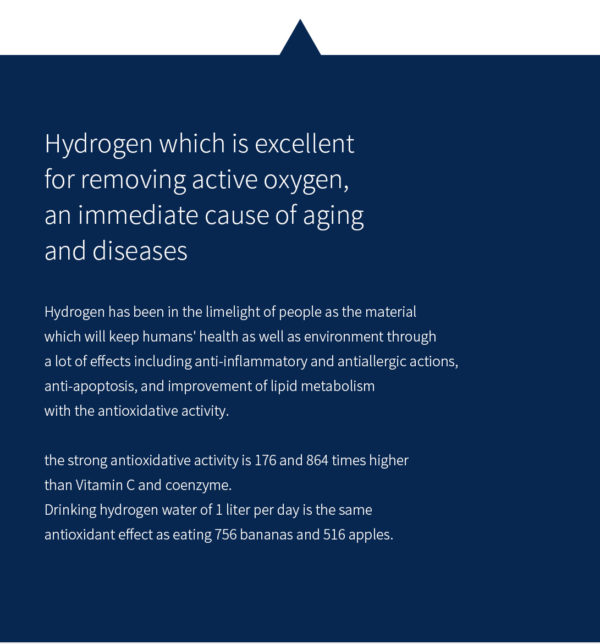 Hydrogen Cap | KYK India