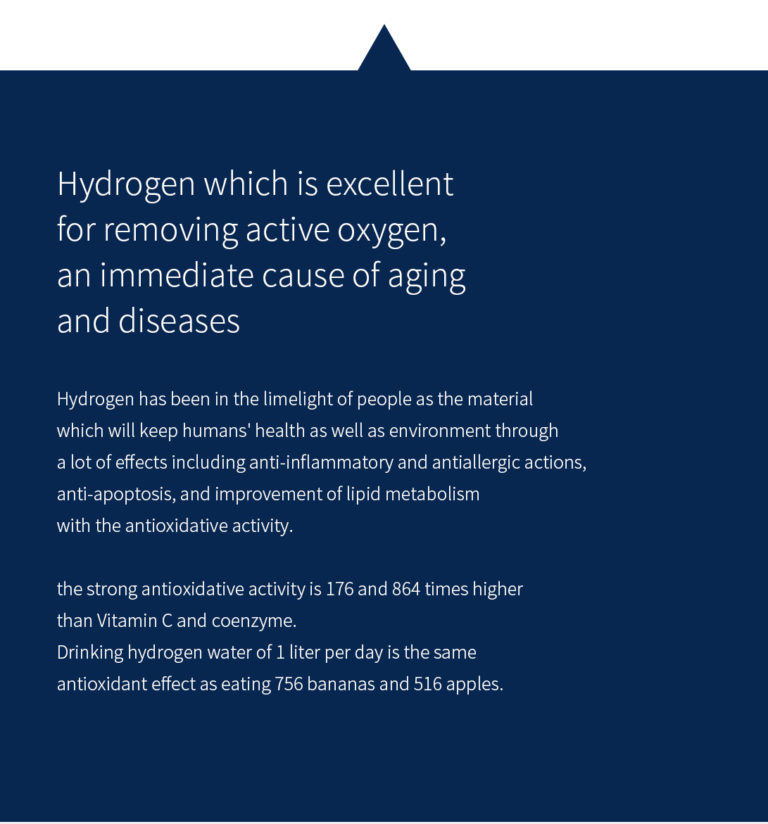 Hydrogen Cap | KYK India