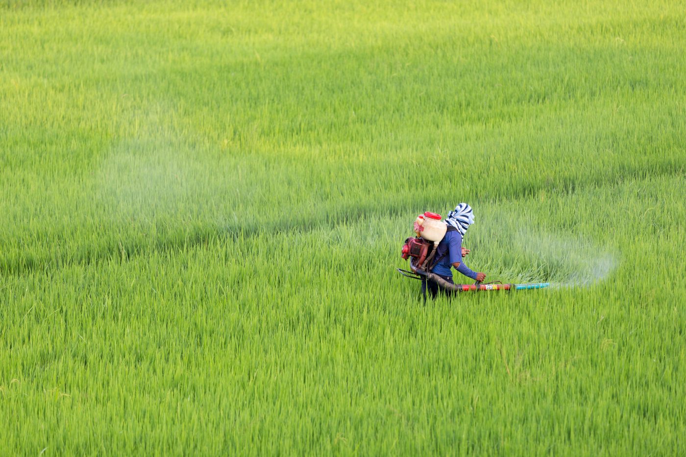 Hydrogen-rich water reduces Paraquat-induced Acute Lung Injury | KYK India